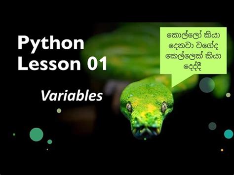 Python Programming Lesson Variables YouTube