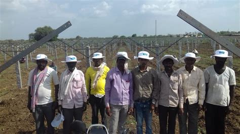 High Tensile Bekaert Bezinal 2000 Vineyard Wire 320 Mm At ₹ 185kg In