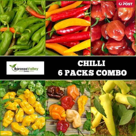 Buy Chilli Combo 6 Packs Combo Online Barossa Valley Seeds