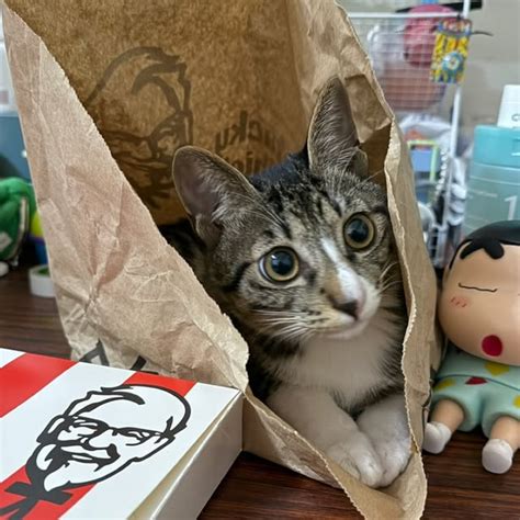 🤓登阝₍ᐢ⸝⸝⸝o̶̶̷̅ ̫ O̶̶̷̅⸝⸝⸝ᐢ₎ Xxcc117 • Threads Say More 🤓登阝₍ᐢ⸝⸝⸝o̶̶̷̅ ̫ O̶̶̷̅⸝⸝⸝ᐢ₎ Xxcc117 • Threads Say More