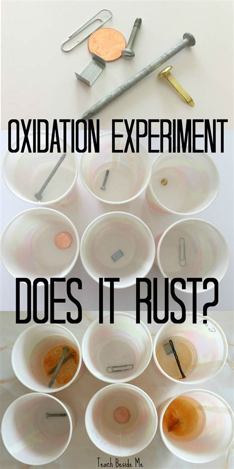 Oxidation Experiment Does It Rust Artofit