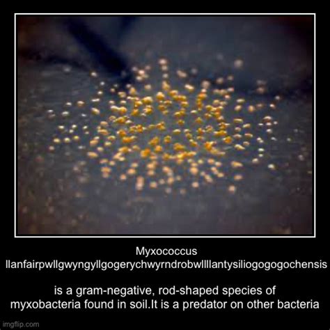 Well Thats One Long Ass Name Imgflip