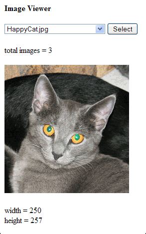 Simple Image Viewer Using PHP Tutorial