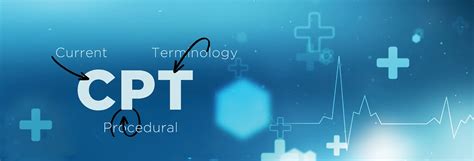 Cpt Codes Imaging Biometrics