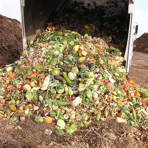 Organics Management