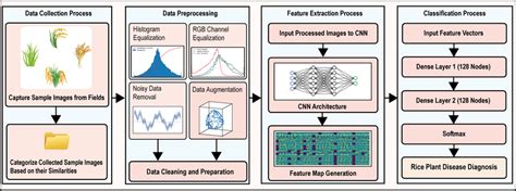 Method Of Rice Plant Disease Detection Process The Experimental Study Download Scientific