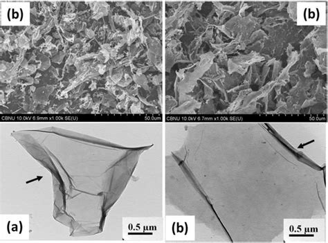 Sem Analysis Of A Go Sheets And B G Sheets C Tem Image Of Download Scientific Diagram