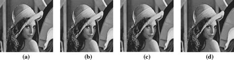 Effect Of Lena Image Reconstruction With K 8 Download Scientific Diagram