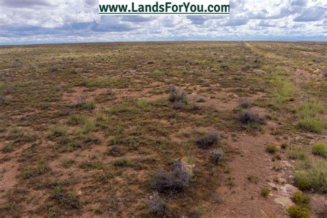 Land For Sale 40 Acres Near Winslow In Navajo County For Only 499mo