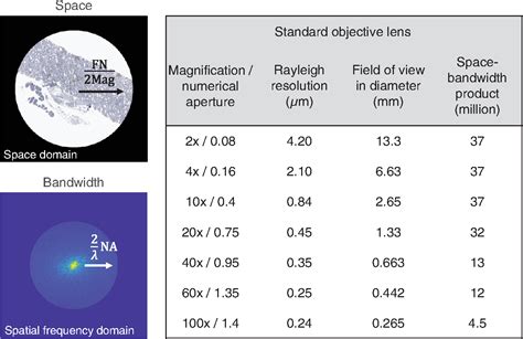 review of bio optical imaging systems with a high space bandwidth product