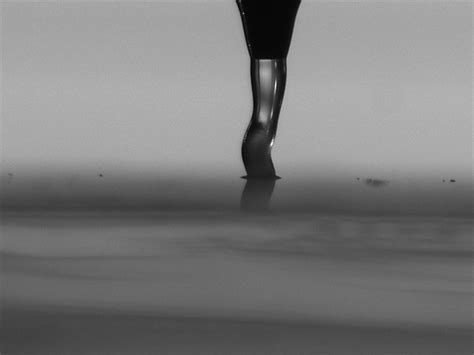 Taylorcone Object Detection Dataset By Jian Lin