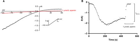 Ca Dependent Activation Of The Whole Cell I SK Ca A Download Scientific Diagram
