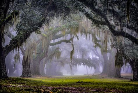 Louisiana Photographic Society Baton Rouge La