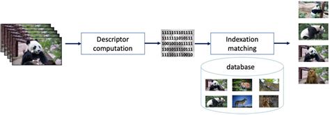 frontiers video fingerprinting past present and future