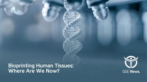 Bioprinting Human Tissues Where Are We Now