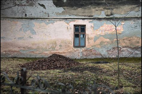 Nonstop Photos Дмитрий Музалёв