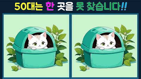 【다른그림찾기치매예방】50대는 한 곳을 못 찾습니다【틀린그림찾기기억력향상숨은그림찾기find The Difference】180 Youtube