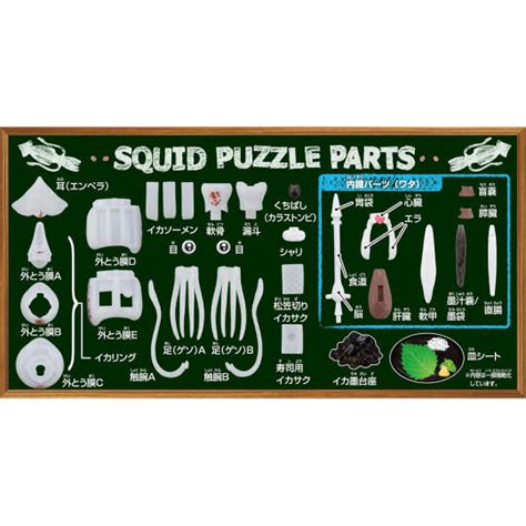 3d Squid Dissection Puzzle Japan Trend Shop