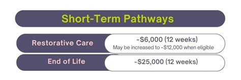 Support At Home Funding Level Classifications And Quarterly Budgets
