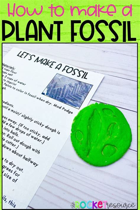 How To Make A Plant Fossil The Rocket Resource Fossils Activities Fossils Lesson Fossils Unit