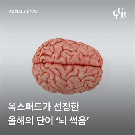 1clubㅣ일프로클럽 2024년 올해의 단어는 ‘뇌 썩음 🧠 옥스퍼드 사전oxforduni이 2024 ‘올해의 단어로 ‘뇌 썩음brain Rot을