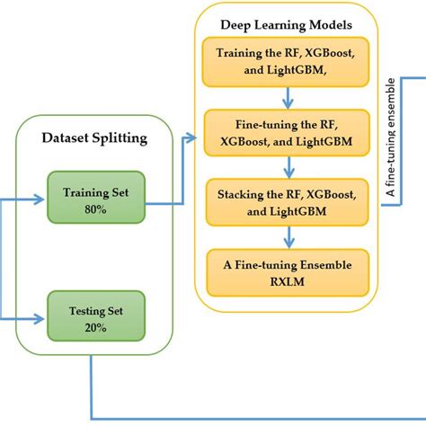 The Methodology For The Tuning Ensemble Rxlm For Cerebral Stroke Download Scientific Diagram