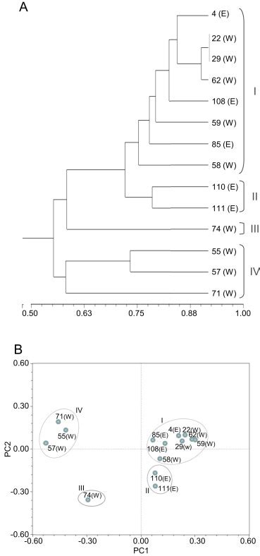 Dendrogram Based On Upgma Analysis Generated Using The Nei And Lis