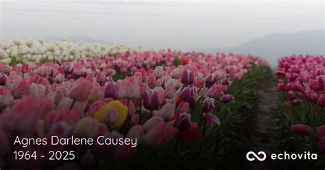 Agnes Darlene Causey Obituary 1964 2025 Shreveport La