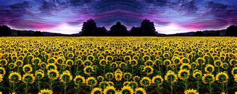 Sitios En El Coraz N Energ As Renovables