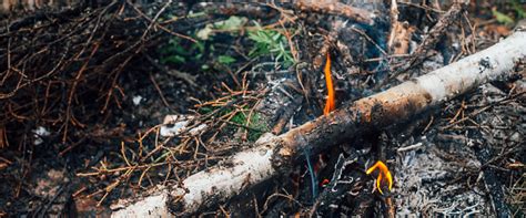 불을 붙이면 나뭇가지와 브러시우드를 굽습니다 캠프 파이어와 푸른 연기의 오렌지 불꽃과 분위기 따뜻한 배경 모닥불의 아름다운 풀 프레임 이미지 장작이 생생한 불길에 타버린다