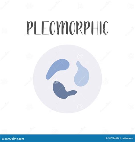 Bacteria Classification Shapes Of Bacteria Morphology Microbiology