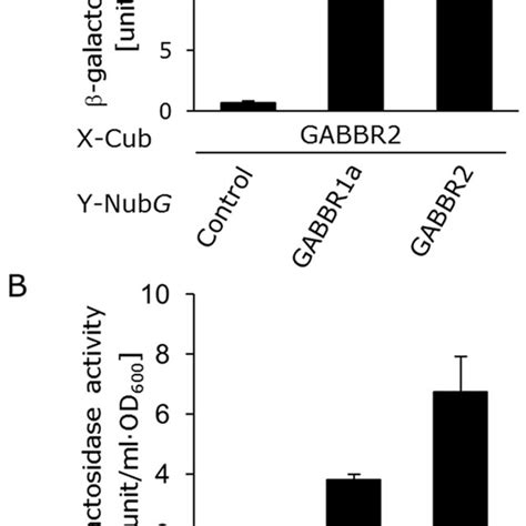 Dimerization Assays Of Human Gpcrs Quantitative Bgalactosidase Assay Download Scientific