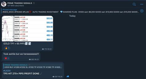 Best Forex Signal Providers In 2025 Experienced Trader Tested