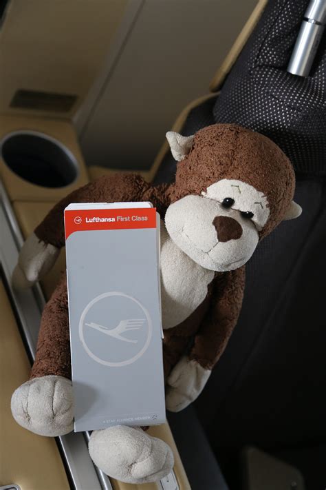 Day Seven Lufthansa First Class A330 300 Iad Muc Summary Joepro Travel