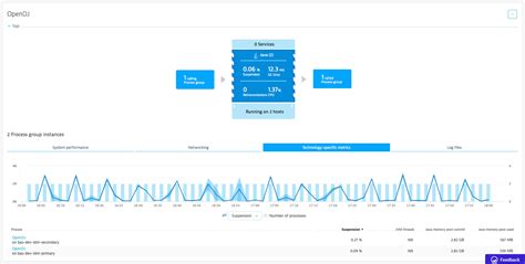 Application Performance Management Dynatrace Infrastructure Monitoring