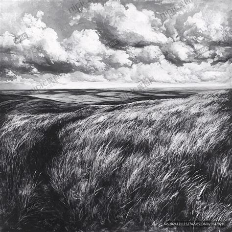 Ai创作图灵气灵动大气笔触肌理 黑白意境画 风云的装饰画 黑白照片风景画 洒脱随意大气笔触肌理 Synthwave艺术 黑白意境背 黑白风景画 超现实主义画作 超现实主义意境画 超现实主义绘画