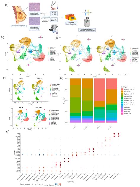 Exploring The Suitability Of Ffpe Samples For Single Cell Rna