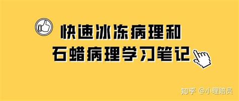快速冰冻病理和石蜡病理学习笔记 知乎