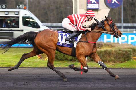 Mathieu Mottier Dominerade Sulkysport