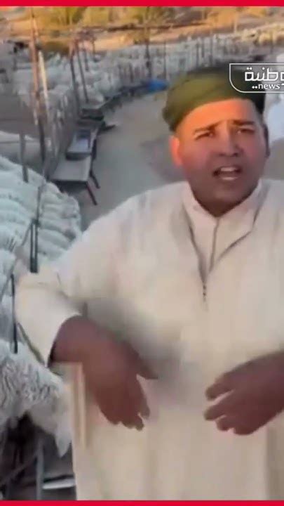 🔴 فيديوالباندا يتوعد بـ تدمير أسعار الأضاحي Youtube