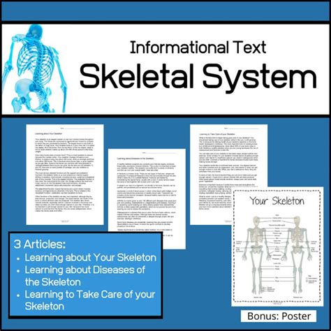 Skeletal System Anatomy Articles My Teaching Library MyTeachingLibrary Com