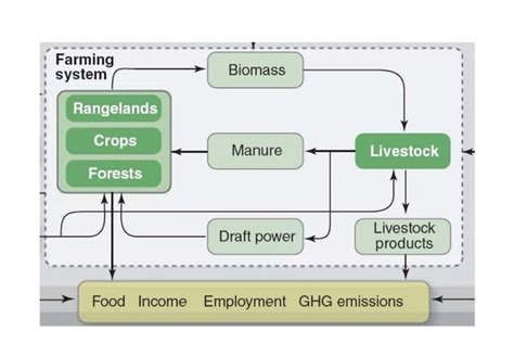 Crop Modelling With The Dssat Ppt Agriculture Industries