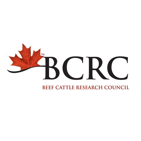 Bcrc Webinar Recap Early Calf Life Survival Alberta Beef Producers
