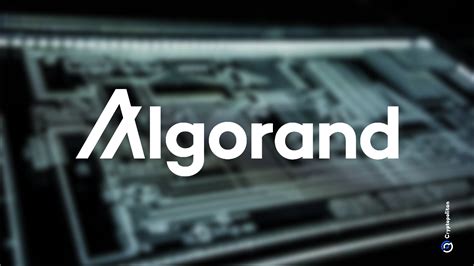 algorand seeks role in us government d o g e blockchain initiative