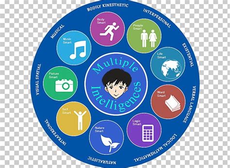 Theory Of Multiple Intelligences Human Intelligence Information Png