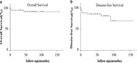 Survival Curve A Overall Survival B Disease Free Survival Download