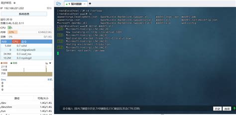 Net国产化改造探索（五）、结合nginx并确保net应用程序自动启动 服务器
