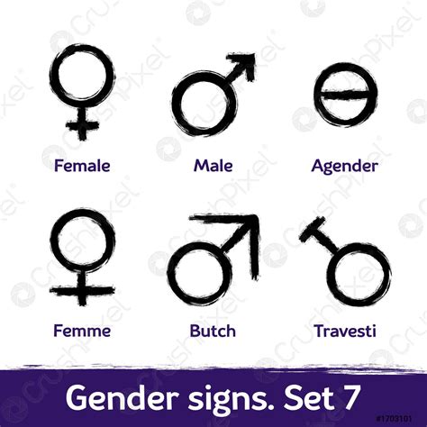 Gender Signs Drawn With Brush Lgbt Icons For Sex Diversity Stock
