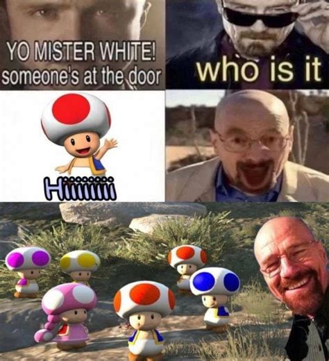 The Best Toad Memes Memedroid