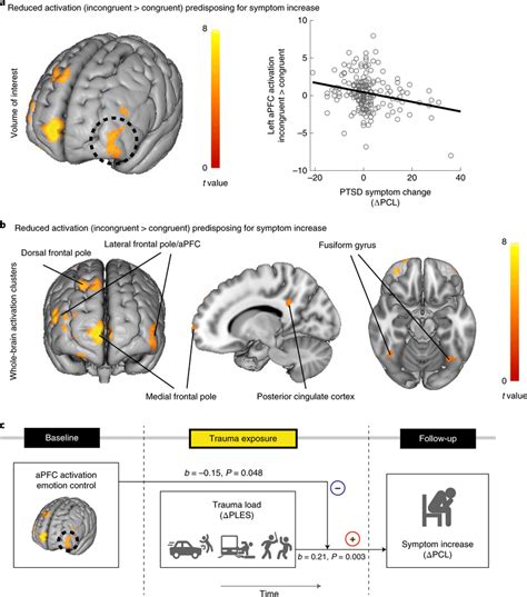 Predisposing Effects For Ptsd Symptom Development A Left Anterior Download Scientific Diagram